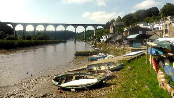 New lease on local wetlands | tamarvalleytimes.co.uk