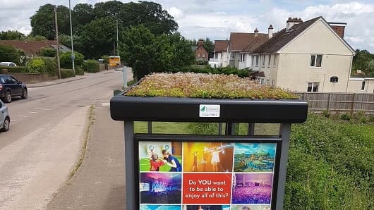 Living roof bus shelters on the cards for Tavistock | tamarvalleytimes ...